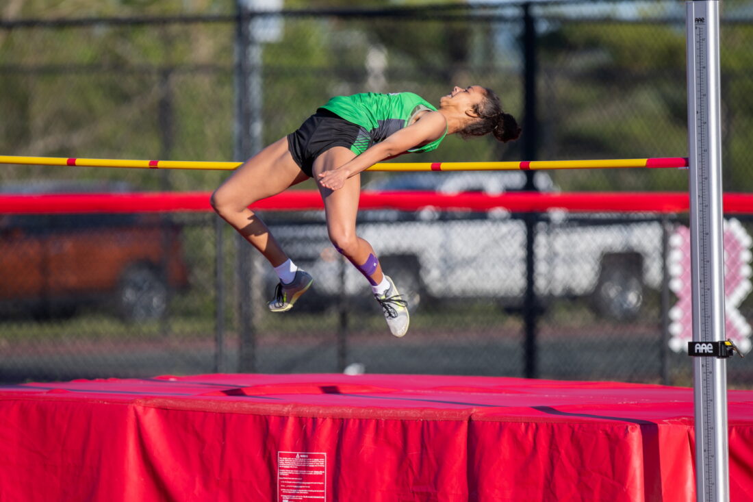 Bears Rule ‘D’ | News, Sports, Jobs - Post Journal